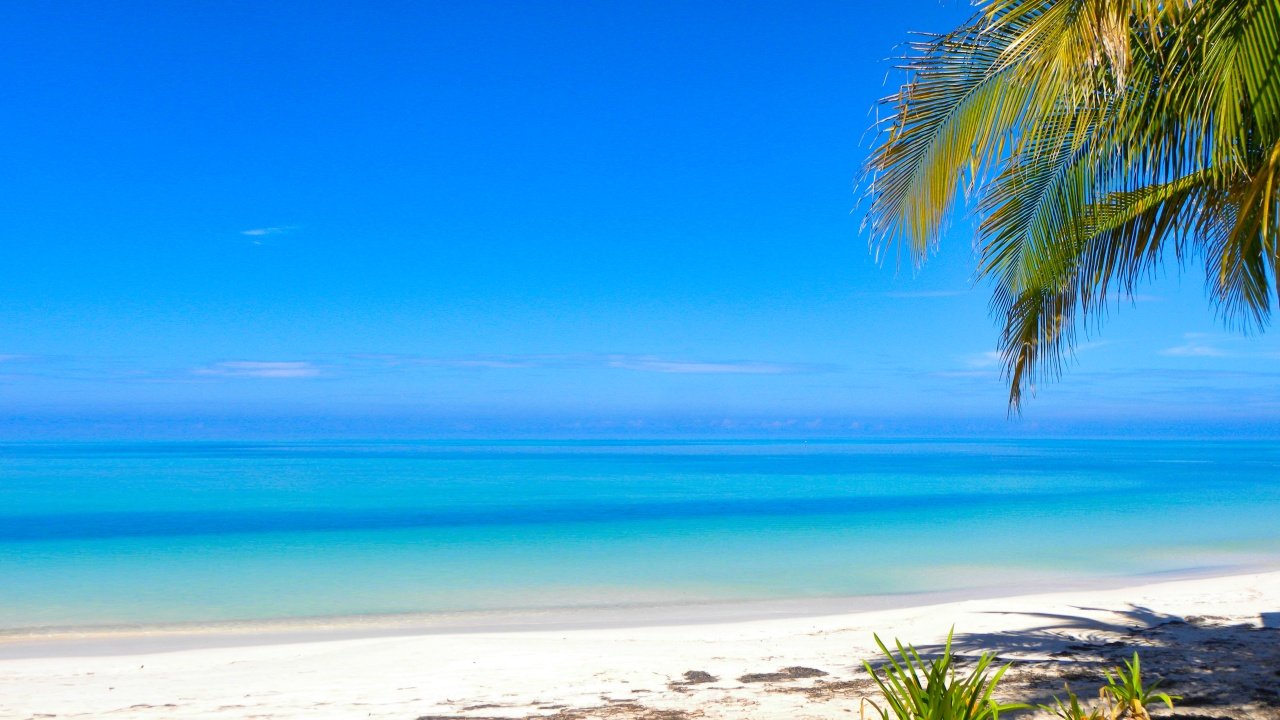 The Best Sun and Sand Excursion to do in Havana , Cuba.