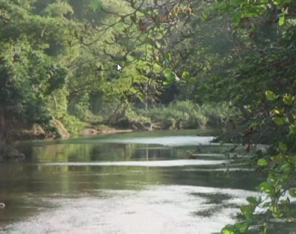 Rio Toa, Baracoa. Cuba