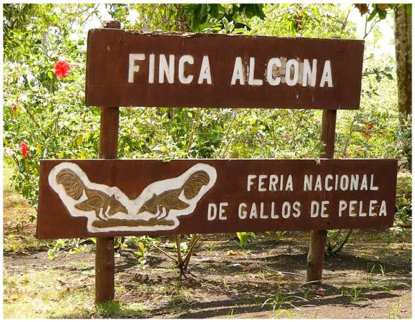 Alcona Farm, Havana. Cuba